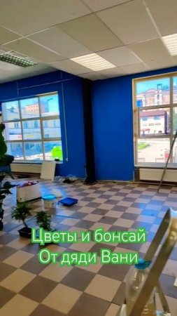 Комнатные растения со всего мира Цветы и Бонсай +79100092670