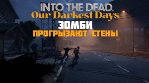 Зомби ГРЫЗУТ стены в INTO THE DEAD