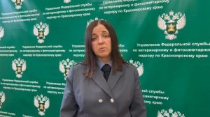 Что нужно знать о выборе семенного картофеля?