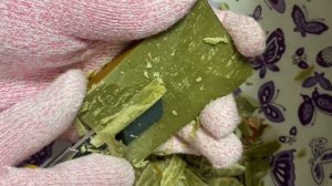 ASMR soap cutting🐾音フェチ🎧石鹸削る🐾