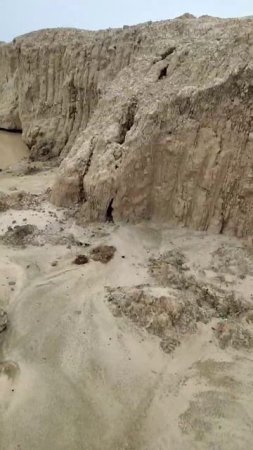 #shorts #nature #viralvideo #ytshorts #short #share #trending