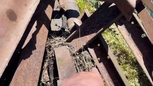 продам срочно Т-40 кун на юмз