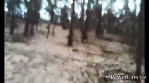 Downhill & Freeride #2