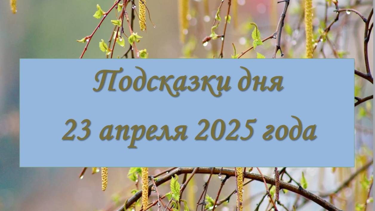 Гороскоп на 23 апреля 2025 года (общий, по показателям дня)