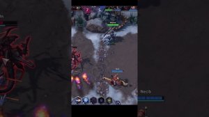 Heroes of the storm