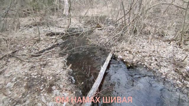 МАНТРА ОМ НАМАХ ШИВАЯ