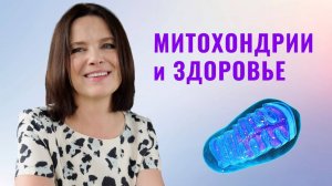Митохондрии и здоровье