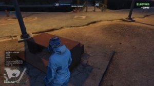 Grand Theft Auto V| Gs Cache At Mirror Park..!!?? HWFGK ;-)))