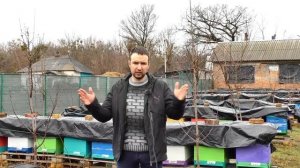 У бджіл критичний період