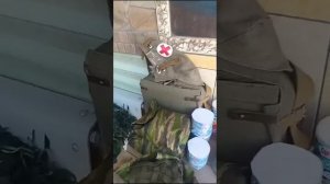 Благодарность за помощь