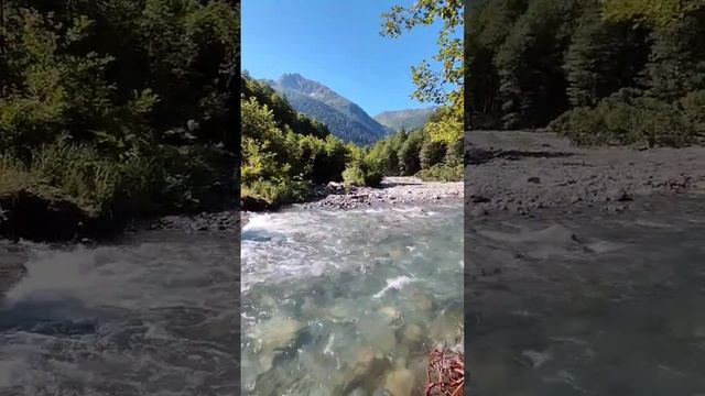 Альпийские луга Абхазии