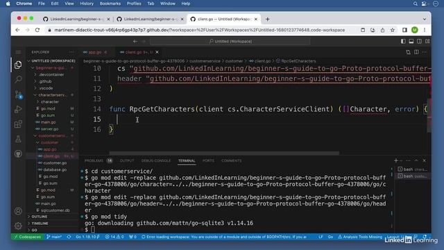 beginner-s-guide-to-go-protocol-buffer-en