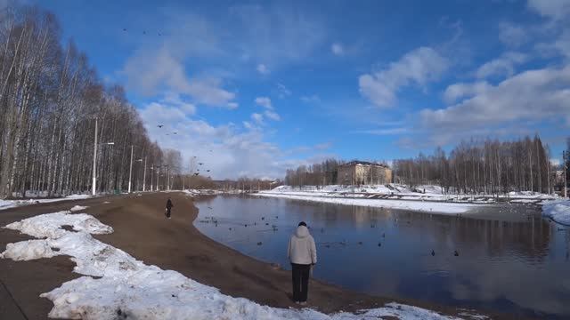 Птичий гвалт. Парк КиО. Город Ухта.