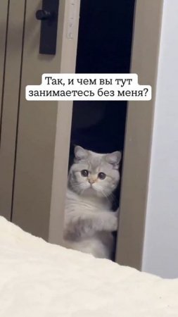 Так, и чем вы тут занимаетесь без меня?