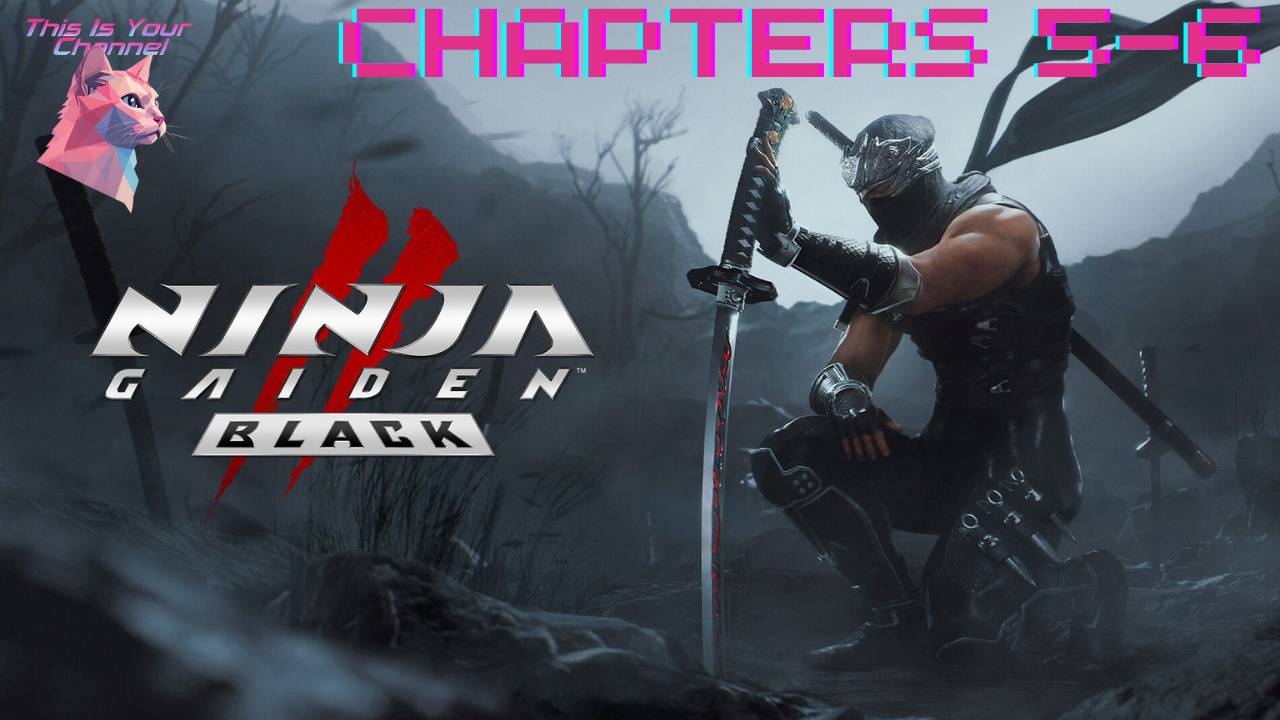 NINJA GAIDEN 2 Black Прохождение (Без комментариев) - Часть 3