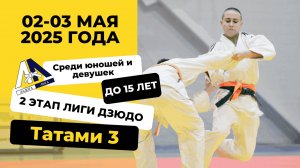 Т-3 2 Этап Лига Дзюдо «ЛАДОГА» до 15 лет