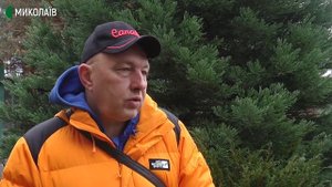 П'ять метрів за 9 років – у Миколаєві чоловік вирощує гігантську секвою