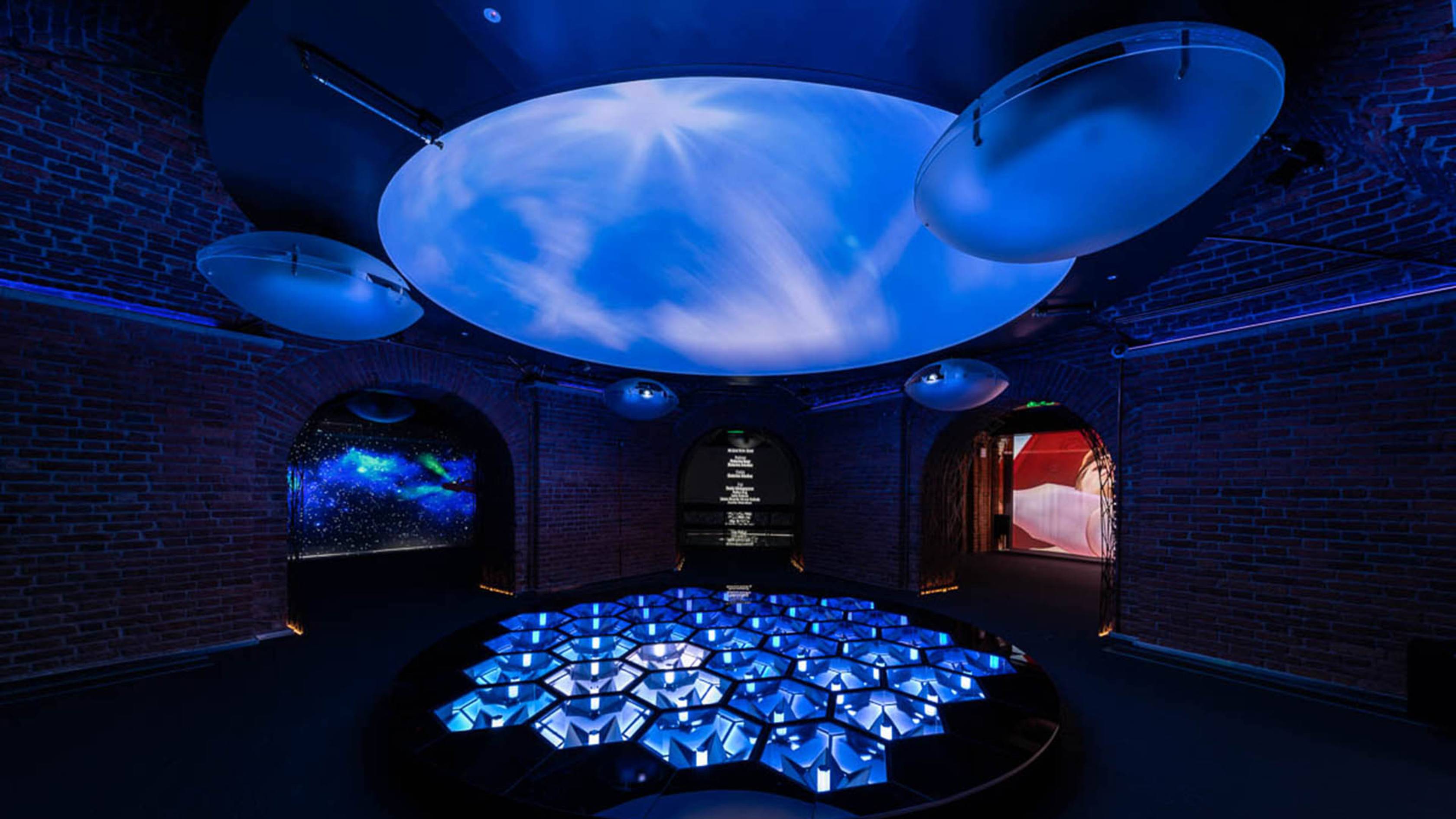 Новая Голландия. Интерактивная выставка" САДЫ"