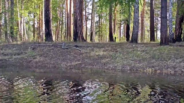 За щуками по озерам. Рыба порадовала.