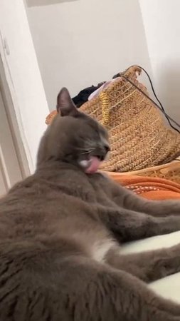 I’m probably just purfect