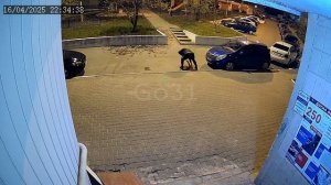 Решил освободить себе парковочное место или ждал гостей?
