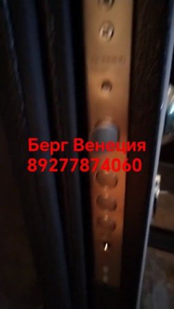 Дверь входная BERG Венеция эшвайт. 89277874060
