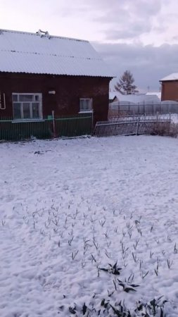 ЗИМА ОПЯТЬ ПРИШЛА ❄️