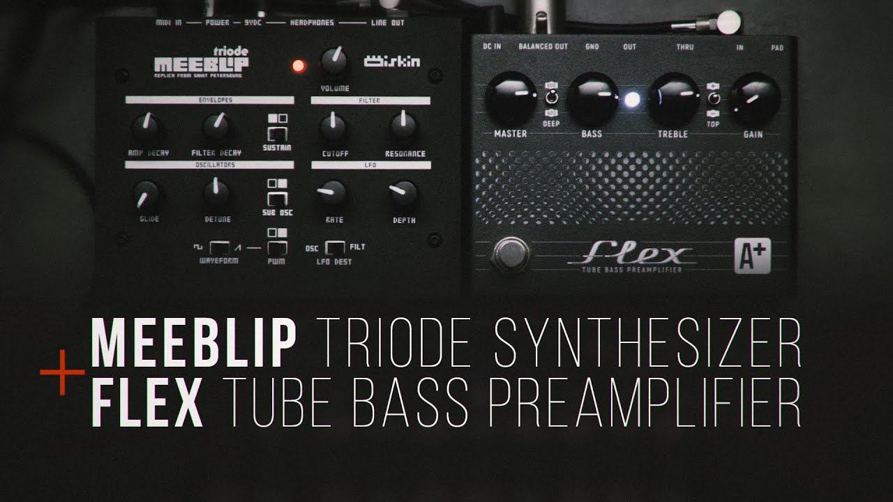 Meeblip triode + Flex tube bass preamplifier