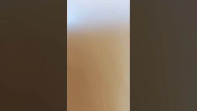 дурацкая груша #часть 18
