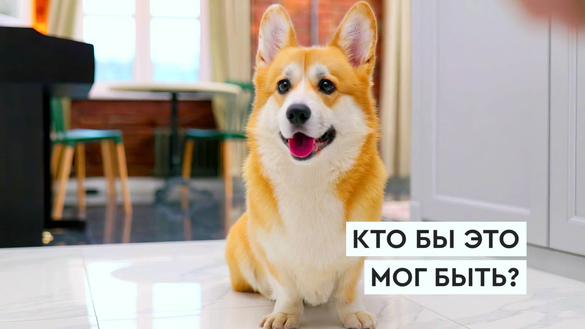 Эпизод 14. Сосед