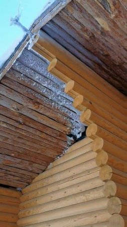 Отдых на турбазе в Ульяновске