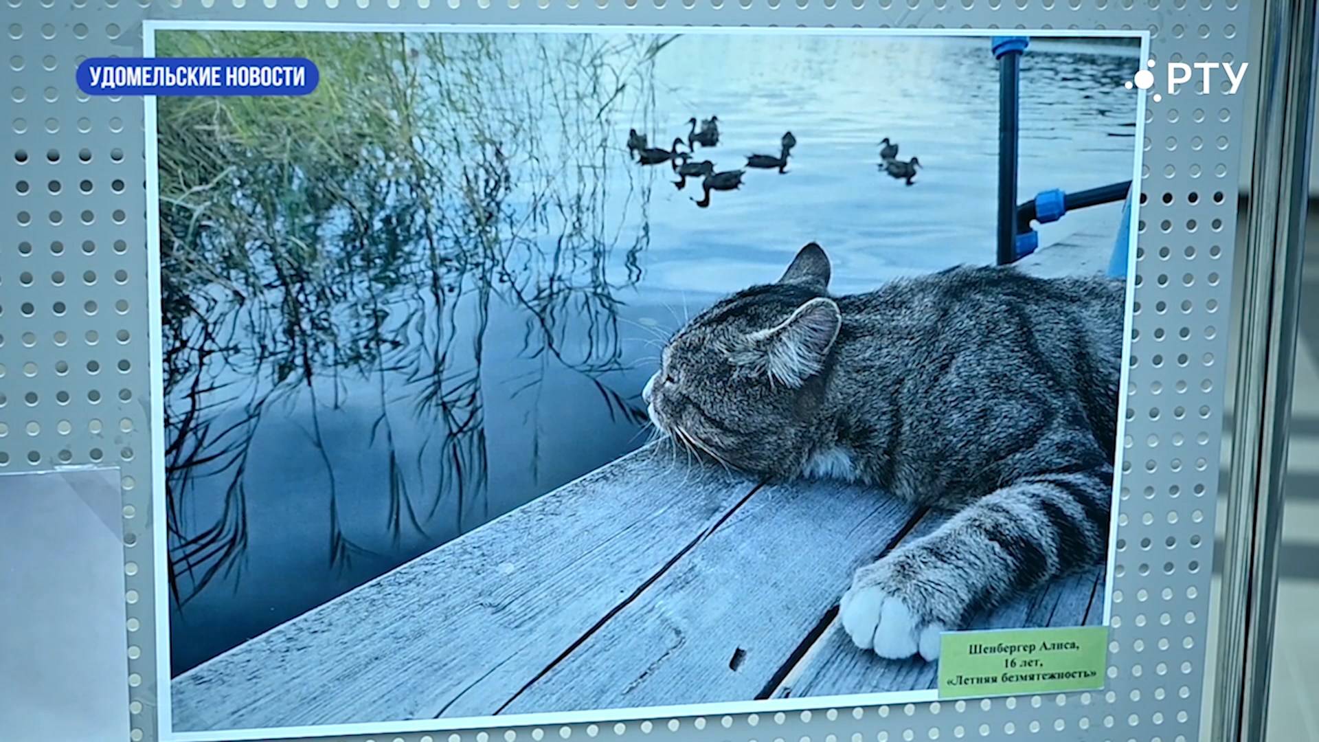 Удомельские новости 18/04/25
