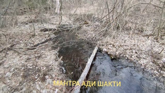 МАНТРА АДИ ШАКТИ