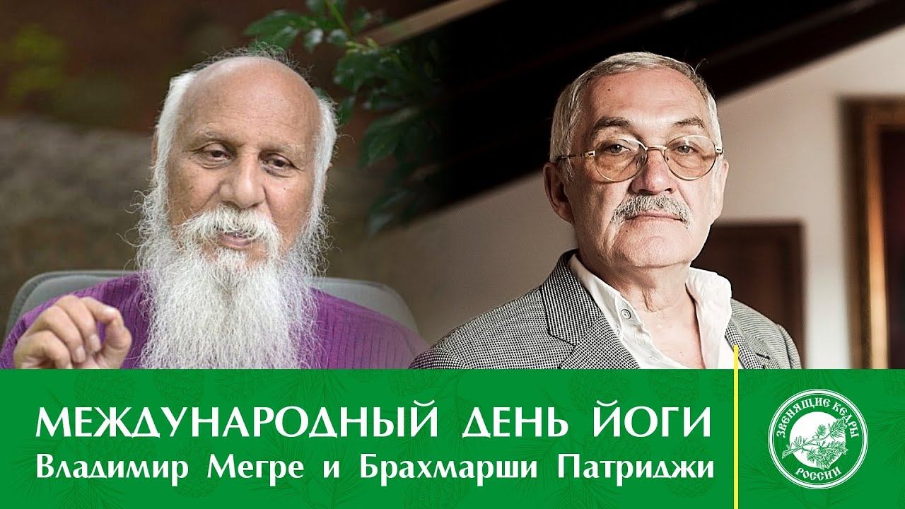 Отрывок из прямого эфира | Международный День Йоги | Владимир Мегре и Брахмарши Патриджи