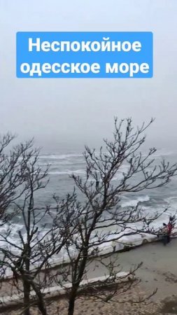 Неспокойное одесское море #одесса #украина #море #shorts