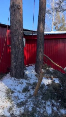 Спилили дерево растущее близко к строению Иркутск и область 8-914-899-44-40