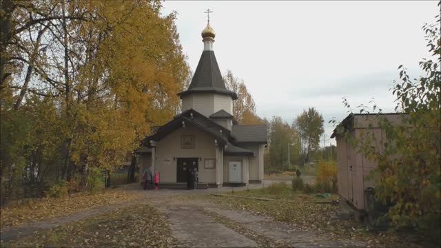 Архив. По просьбе. Ржевский лесопарк, речка Лапка. Петербург. 2021.