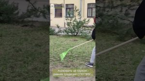 Парку СПбГПМУ - 120 лет