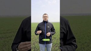 Объезд полей в Ростове-на-Дону? Виктор Пересыпка делится наблюдениями