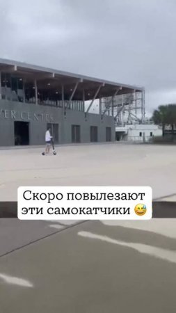 Скоро повылезают эти самокатчики