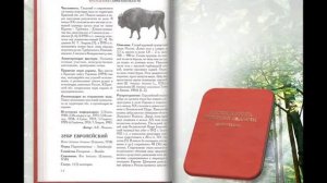 Популяция зубров в заказнике Карачевский