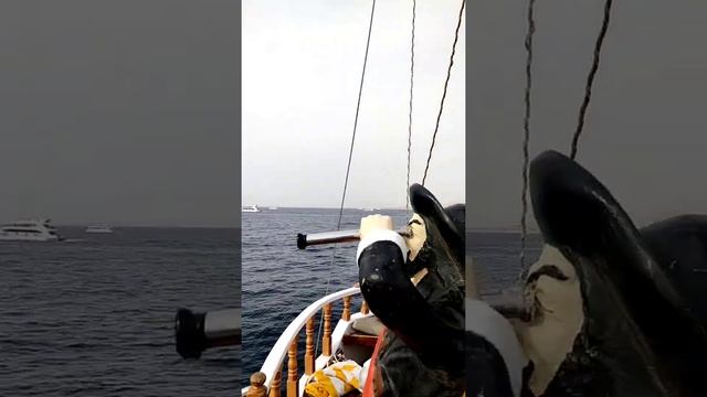 Красное море в Шарм-эль-Шейхе!/ Декабрь 2021