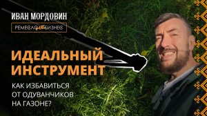 Как избавиться от одуванчиков на газоне? Нашел идеальный инструмент