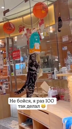Не бойся, я раз 100 так делал..