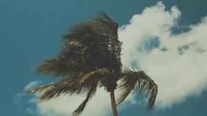 Grand Cayman - The Anchorage