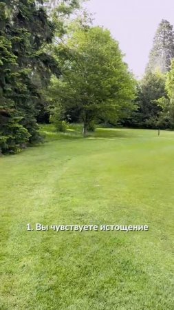 Эта иллюзия отнимает у вас силы каждый день