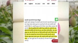 Most Expensive Mango In Words दुनिया कि सबसे मंहगा आम