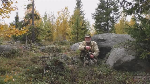 Прогулка по красивому лесу. Тут нет оружия и охоты. Только природа.