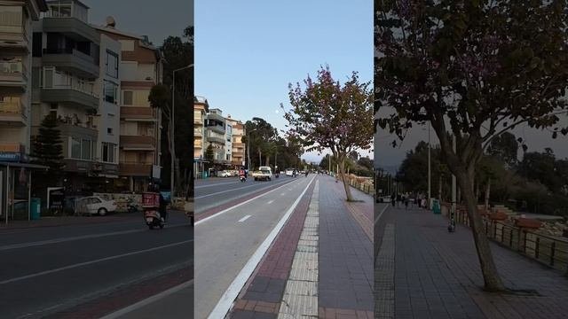 Аланья, Турция. Прогулка в лучах заката. Апрель 2025 г.