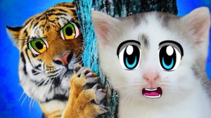 КОШКА МУРКА и ТИГРЫ с TIGER KINGDOM ПХУКЕТ! А ну-ка Давай-ка в КОРОЛЕВСТВЕ ТИГРОВ! ОГРОМНЫЕ ПИТОМЦЫ